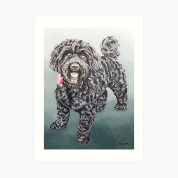 Cockapoo Art Prints | Redbubble