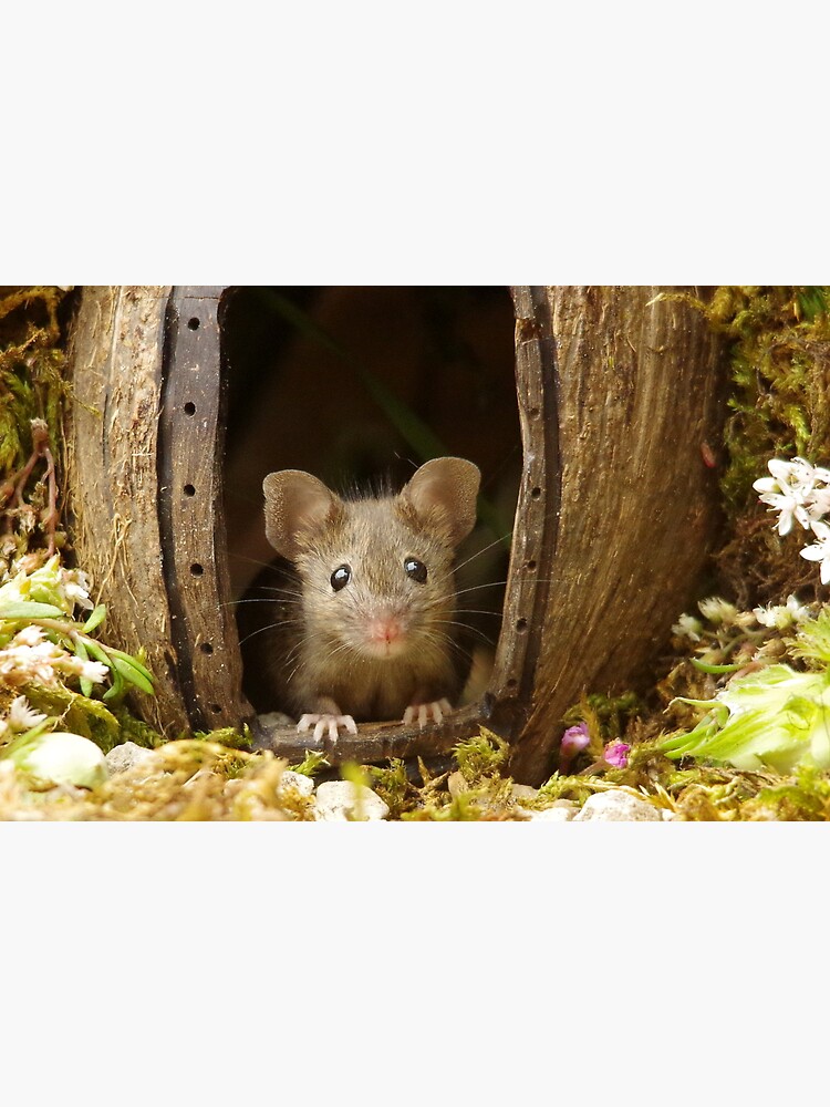 "George the mouse in a log pile house" Sticker for Sale by Simon-dell ...
