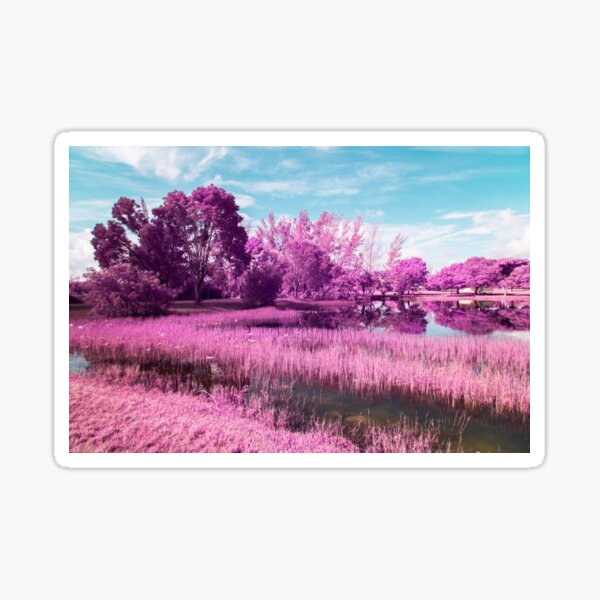 "Florida's nature in infrared light" Sticker for Sale by adamnixon ...