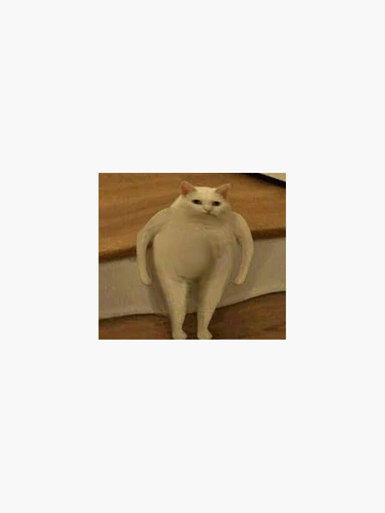 "Buff Cat Meme" Sticker by Eyepatch0806 | Redbubble