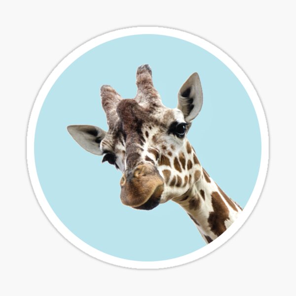 "Peeking Cute Giraffe " Sticker by FallenRevol | Redbubble