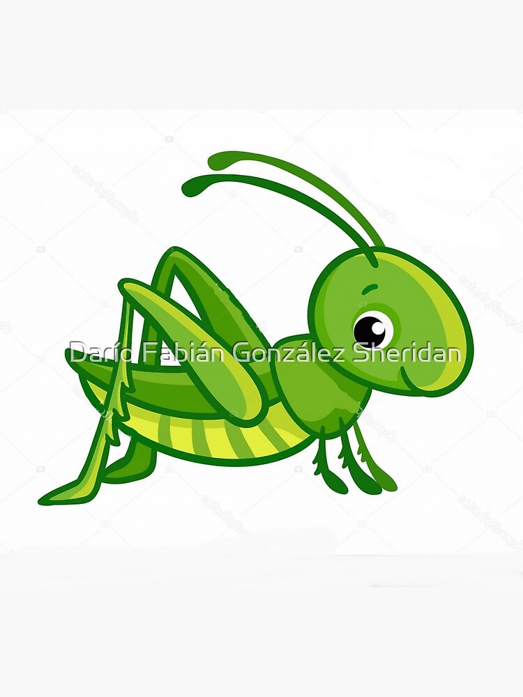 "Grillo 3" Canvas Print by Darío Fabián González Sheridan | Redbubble