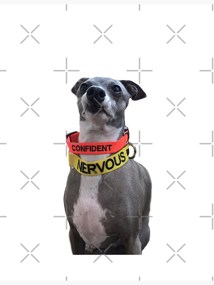 "Cermet nervous" Poster by laurelstreed | Redbubble