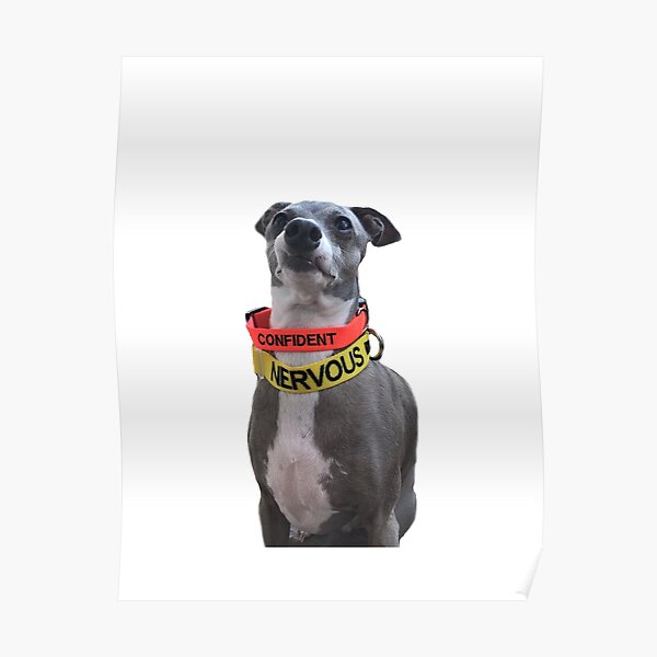 "Cermet nervous" Poster by laurelstreed | Redbubble