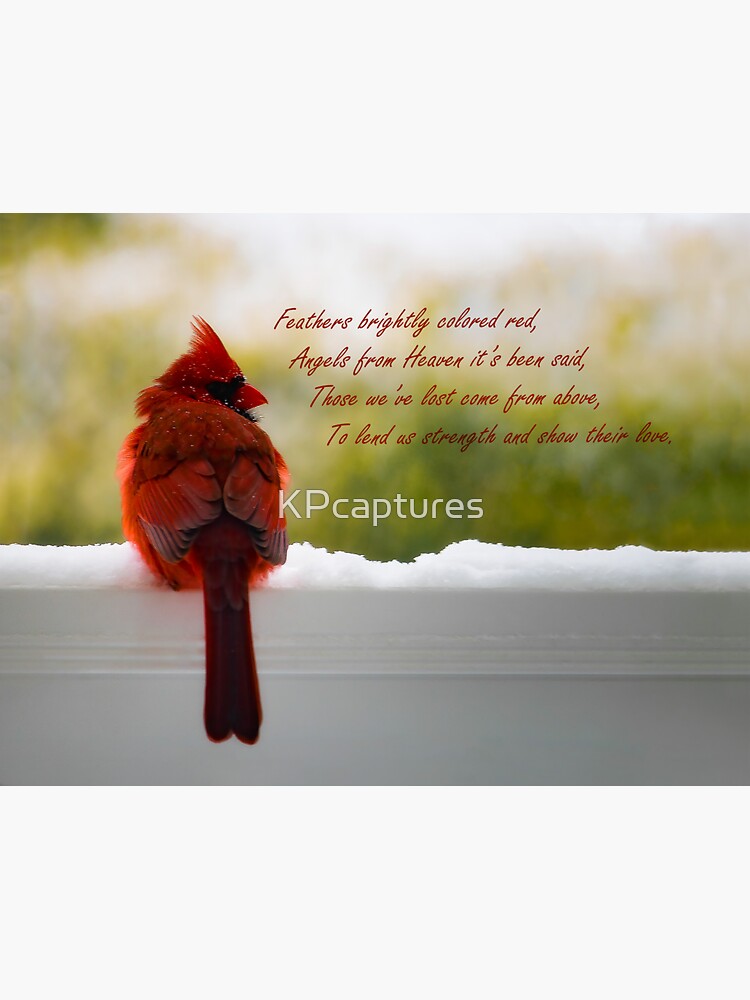 Red Cardinals Quotes Messages From Cardinals: Spiritual Guidance From