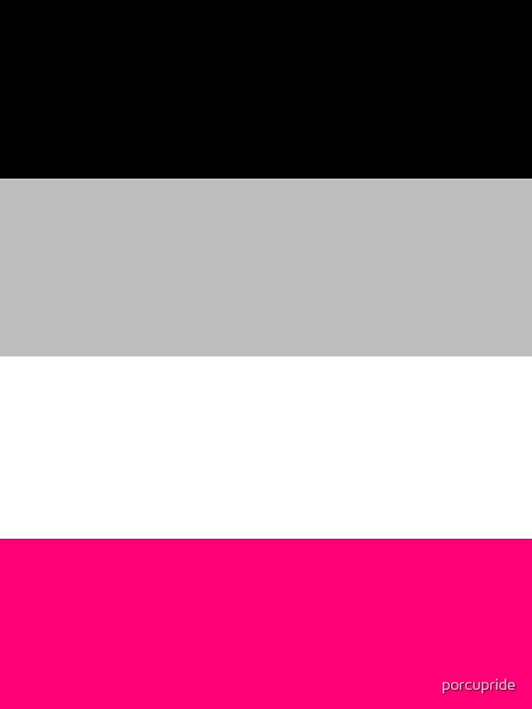 "Gynephilia Pride Flag" T-shirt for Sale by porcupride | Redbubble ...