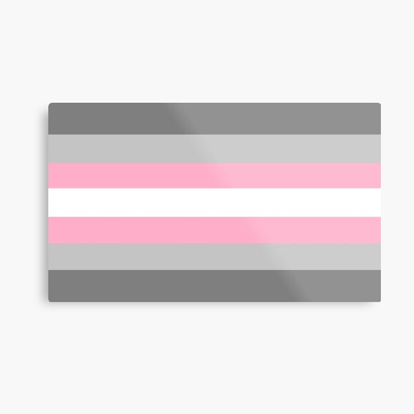 Demigirl Pride Flag Metal Print By Porcupride Redbubble