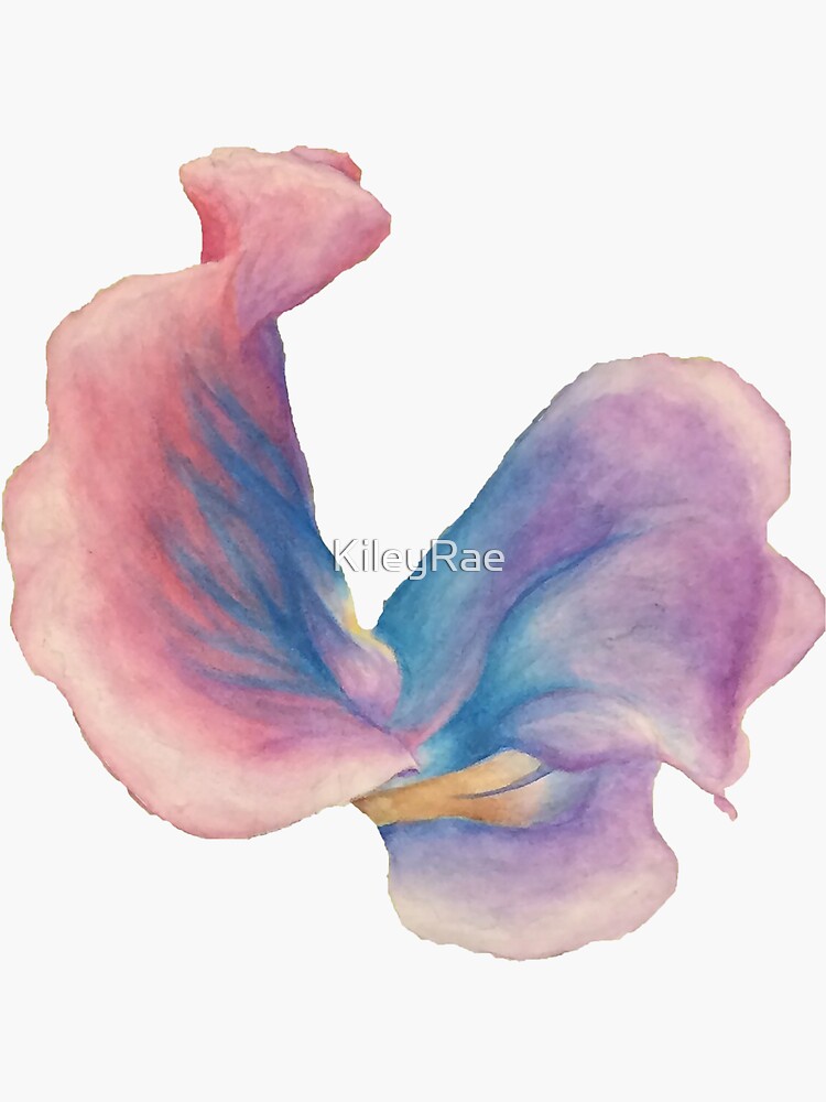 "Watercolor Sweet Pea" Sticker by KileyRae | Redbubble