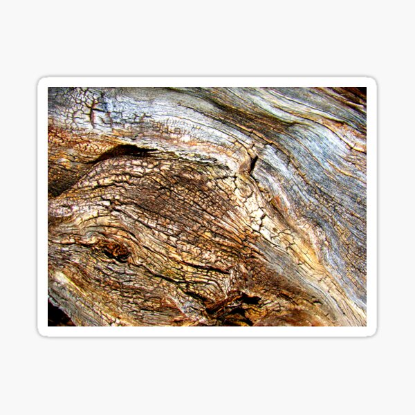 "Antique Bark" Sticker by KathieNichols | Redbubble
