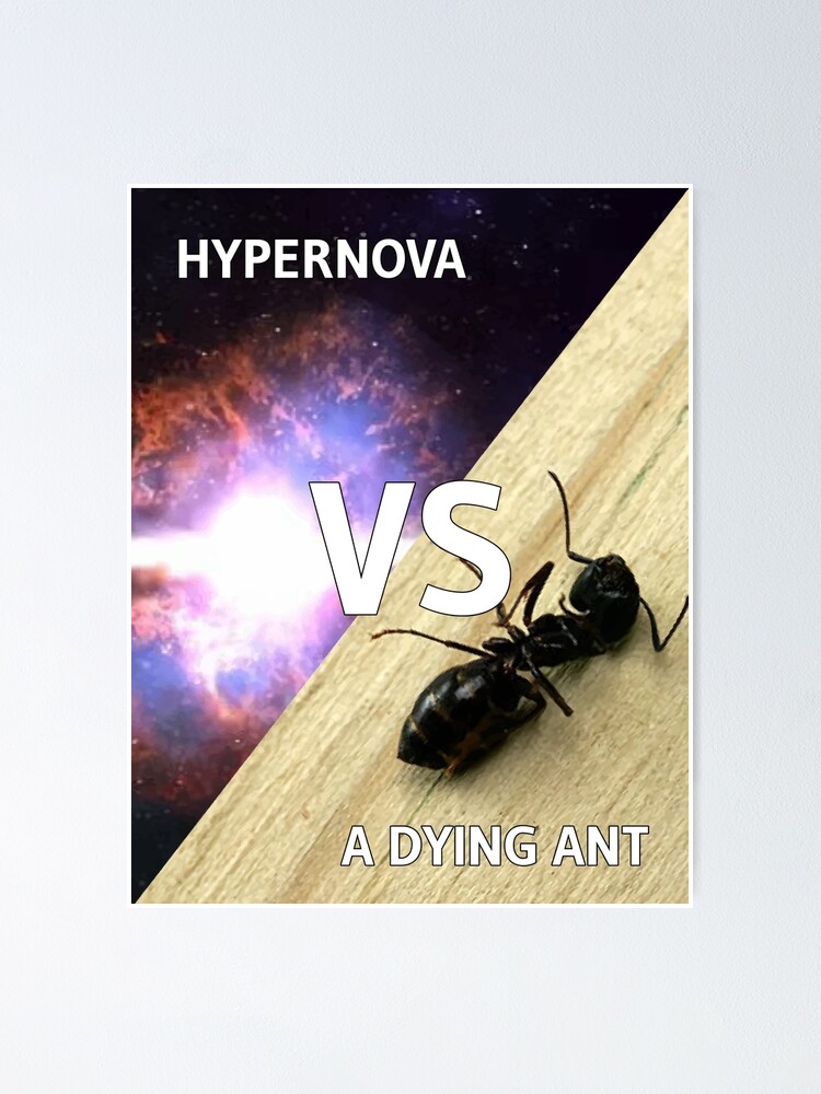 "Hypernova VS ant meme" Poster for Sale by Rzera- | Redbubble