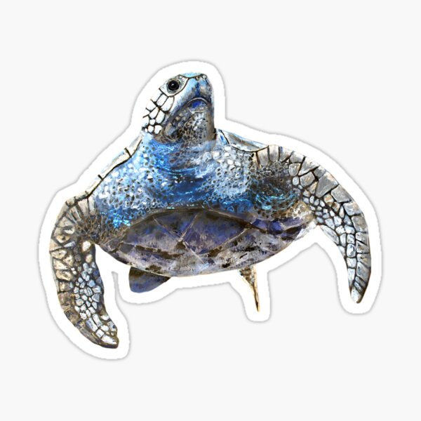 "Blue Turtle Design" Sticker for Sale by KathieNichols | Redbubble
