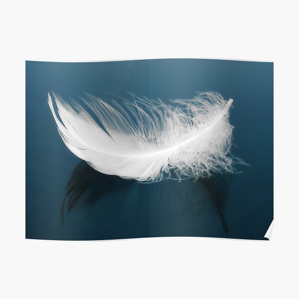 "Floating Feather" Poster by Lanas | Redbubble