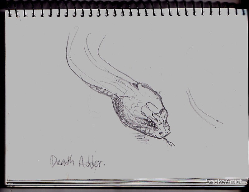 "Sketch of the Death adder." by SnakeArtist | Redbubble