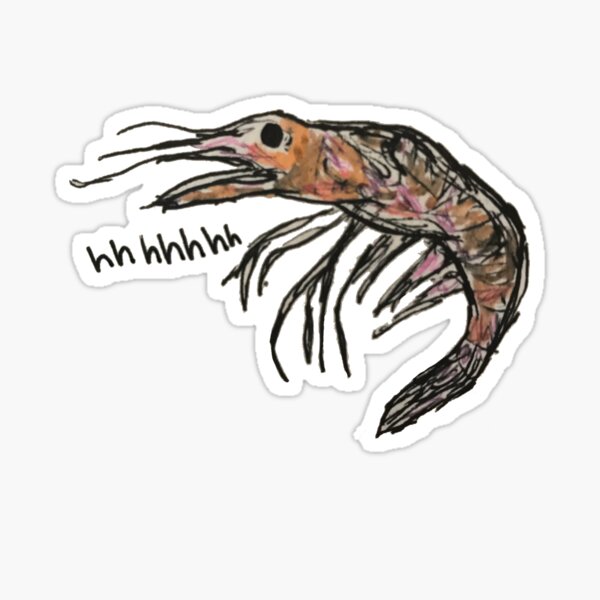 Shrimp Stickers | Redbubble
