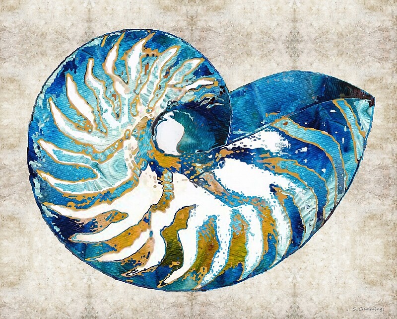 "Beach Art - Nautilus Shell Bleu - Sharon Cummings Artist" by Sharon ...
