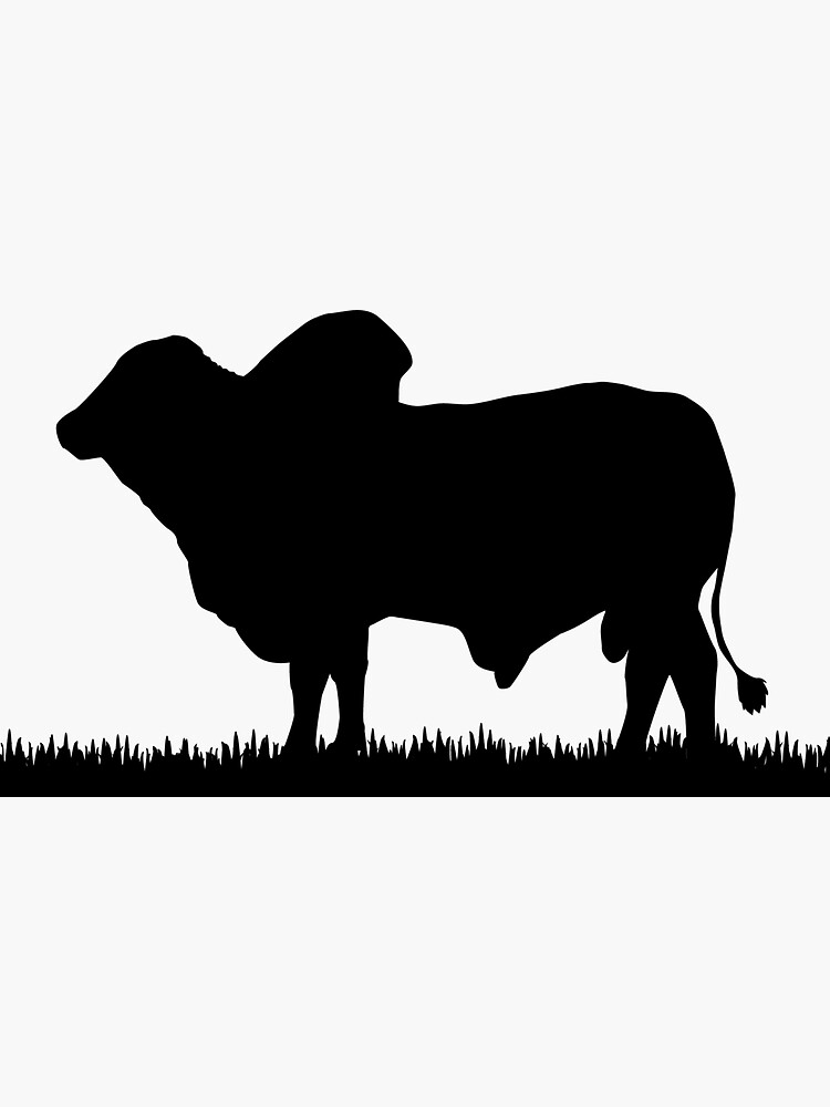 "Brahman Bull Silhouette " Sticker for Sale by louu69 | Redbubble