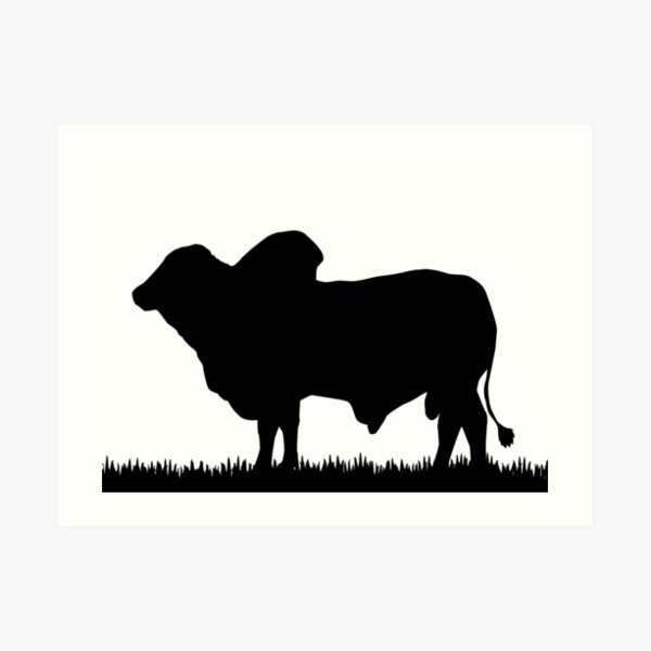 "Brahman Bull Silhouette " Art Print for Sale by louu69 | Redbubble