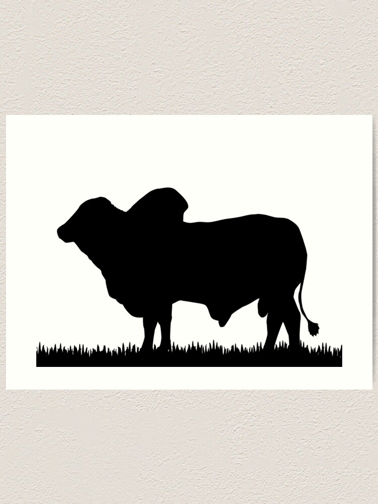 "Brahman Bull Silhouette " Art Print for Sale by louu69 | Redbubble