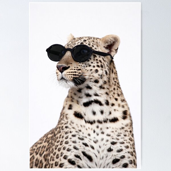 Funny Animal Fashion Posters for Sale | Redbubble