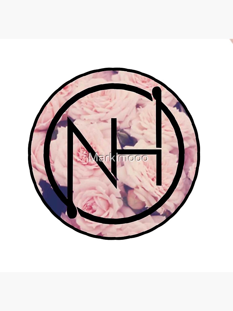 Logotipo De Niall Horan