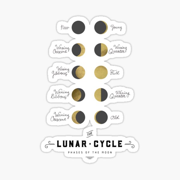 "The Lunar Cycle • Phases of the Moon – Black & Gold Palette" Sticker ...
