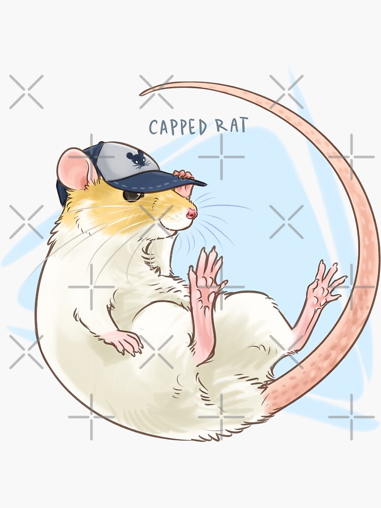 "Capped Rat" Sticker by pawlove | Redbubble