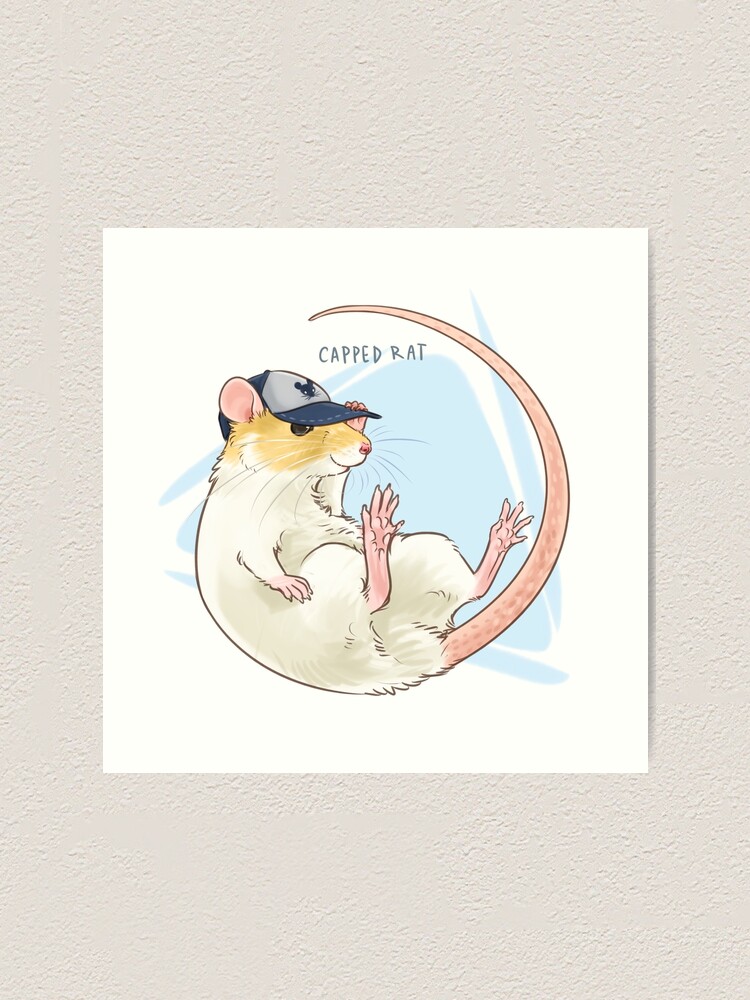 "Capped Rat" Art Print for Sale by pawlove | Redbubble