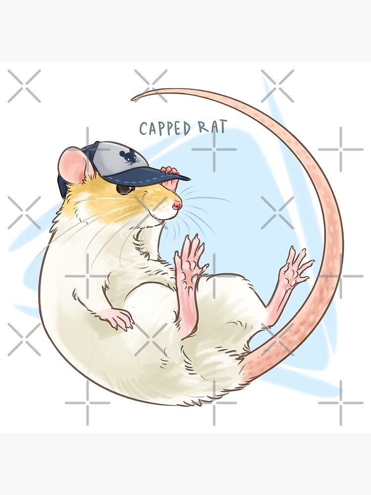 "Capped Rat" Art Print for Sale by pawlove | Redbubble