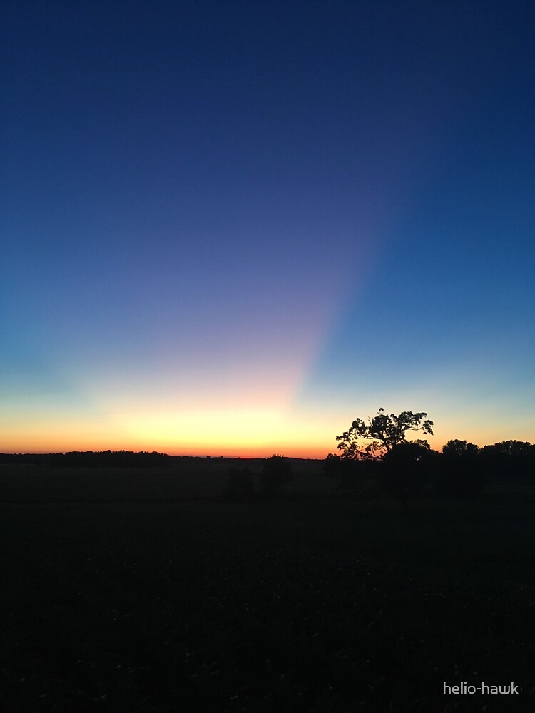 "wisco light " Sticker for Sale by helio-hawk | Redbubble