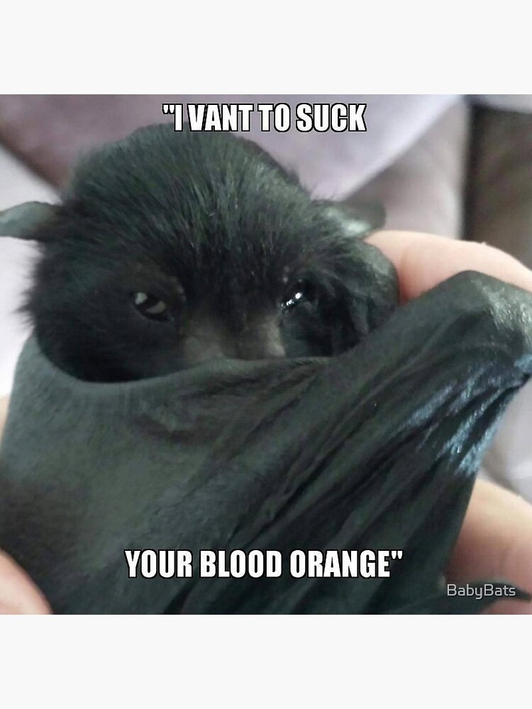 "Larry The Vampire Bat Impression " Poster by BabyBats | Redbubble