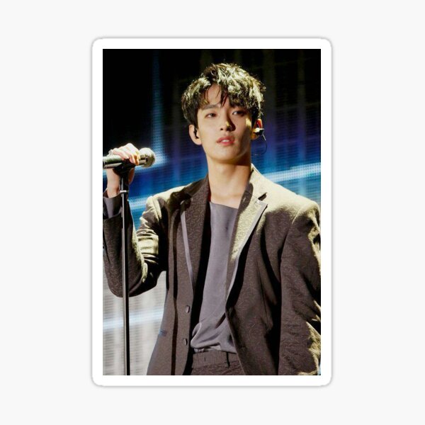 "Seventeen - DK Sticker" Sticker by Magalyv98 | Redbubble