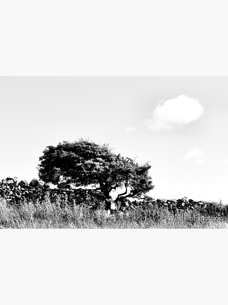 "No silver lining" Sticker by WesternExposure | Redbubble