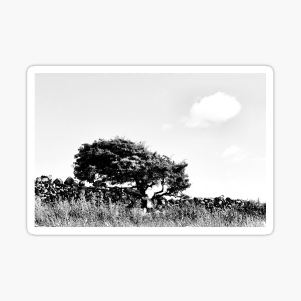 "No silver lining" Sticker by WesternExposure | Redbubble