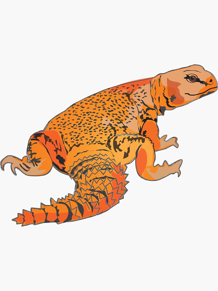 "Colorful Uromastyx" Sticker for Sale by sarahwhensley | Redbubble