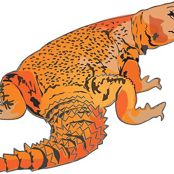 "Colorful Uromastyx" Sticker for Sale by sarahwhensley | Redbubble