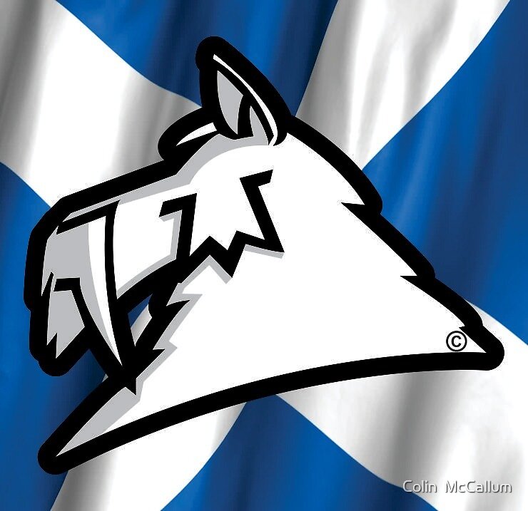"McTuff on Saltire" by Colin McCallum | Redbubble