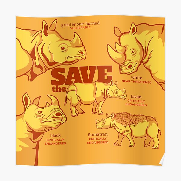 Rhino Posters | Redbubble