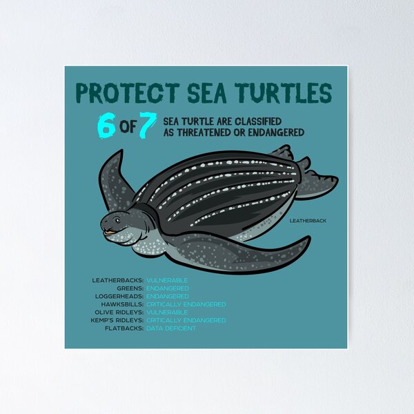 "Protect Sea Turtles" Poster for Sale by PepomintNarwhal | Redbubble