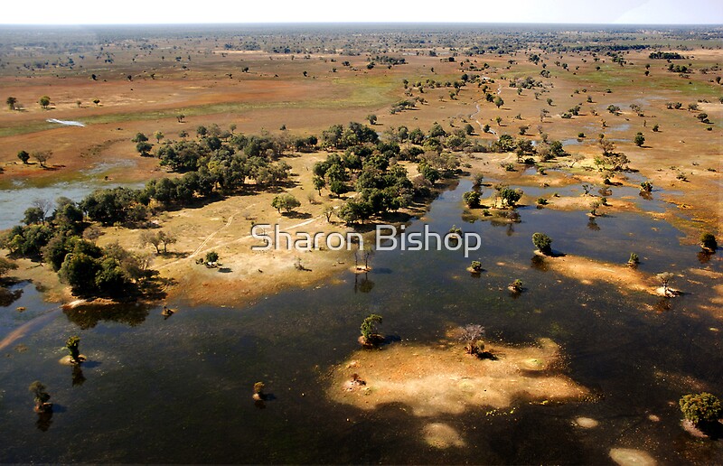 "Bird's eye view of the Okavango Delta, Botswana" by Sharon Bishop ...