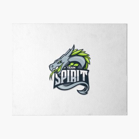 "Team Spirit Logo" Art Board Print by Swest2 | Redbubble