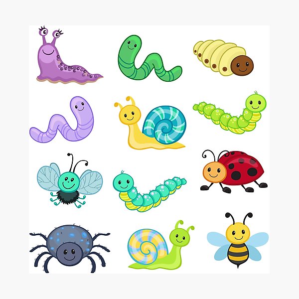 "Big Bundle set. Bugs clipart, Cute Bugs." Photographic Print for Sale ...