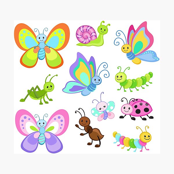 "Big Bundle set. Bugs clipart, Cute Bugs. Part 2." Photographic Print ...