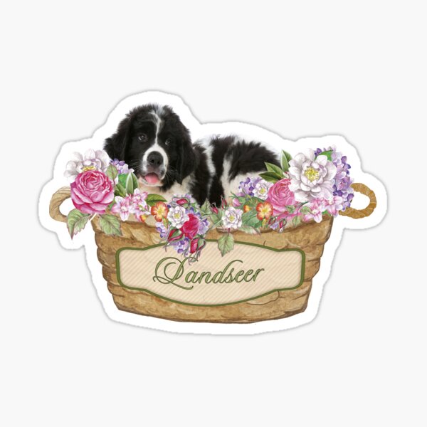 "Landseer Puppy" Sticker by itsmechris | Redbubble