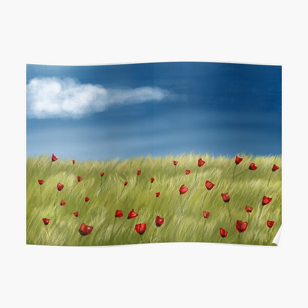 "Poppy field" Poster by Soualigua | Redbubble