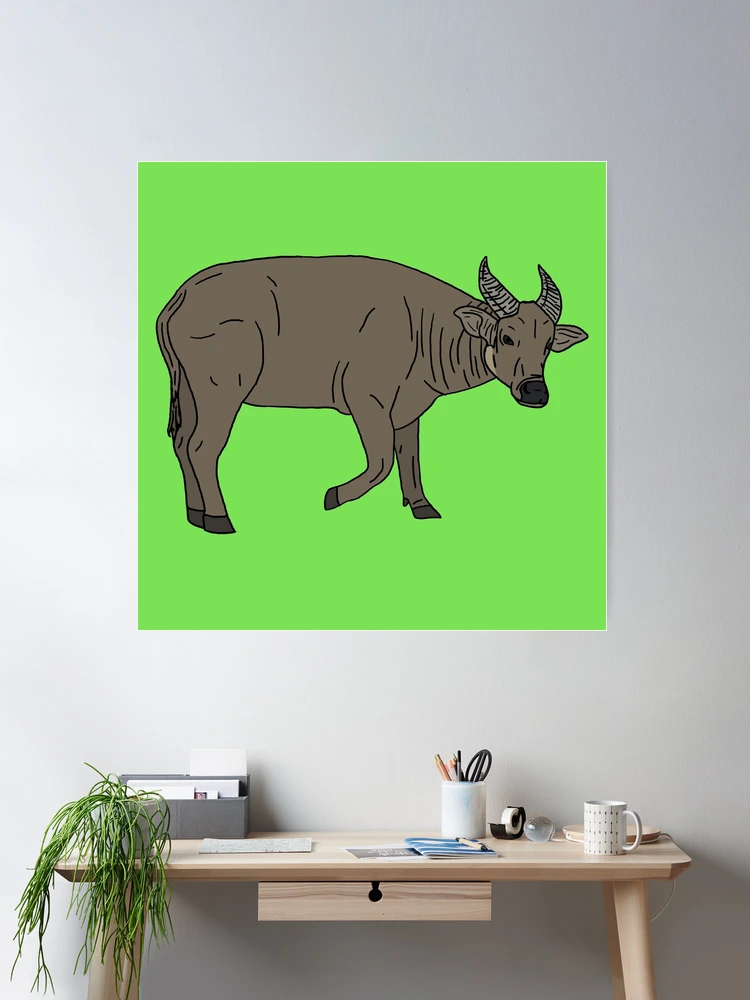 Tamaraw Clip Art