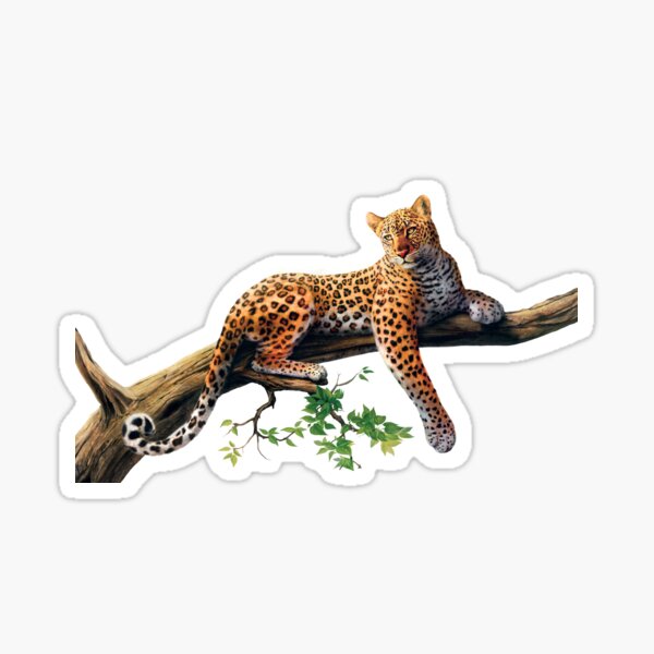 "Jaguar" Sticker for Sale by RossDillon | Redbubble