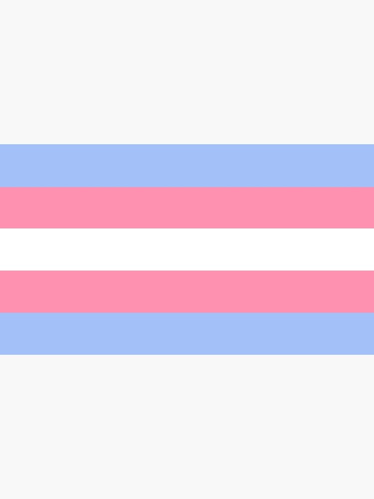 Neon Pastel Transgender Flag Poster For Sale By Saytenn Redbubble