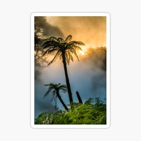 "Rotorua Misty Tree Fern" Sticker for Sale by lifeontheroadnz | Redbubble