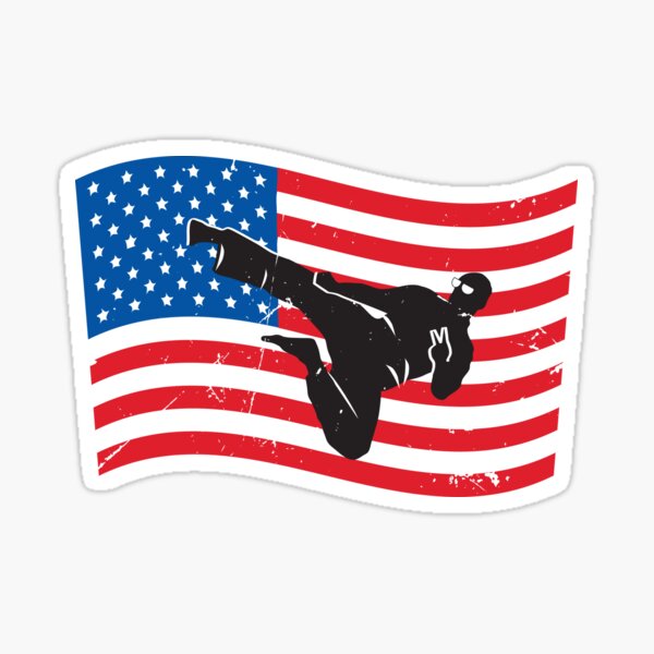 "USA Flag Flying Kick" Sticker for Sale by oberdoofus | Redbubble