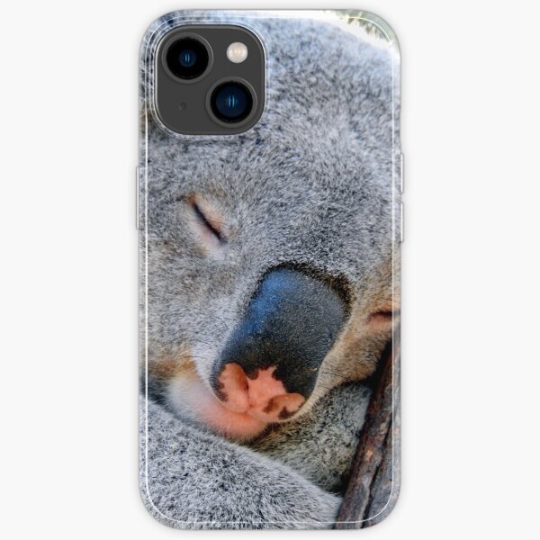 "Koala" iPhone Case for Sale by kirstybush | Redbubble